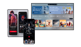 OWS Networks - ISP & IPTV Services